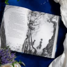 The Ocean at the End of the Lane (Illustrated Edition): Gaiman, Neil ...