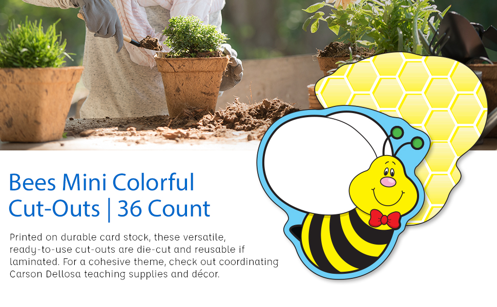 Bees Mini Cut-Outs : Carson-Dellosa Publishing Company: Amazon.ca: Office Products