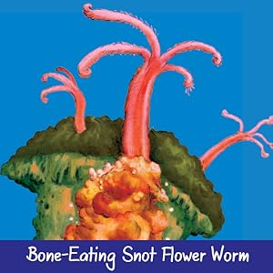 The Screaming Hairy Armadillo and 76 Other Animals with Weird, Wild Names: Murrie, Matthew ...