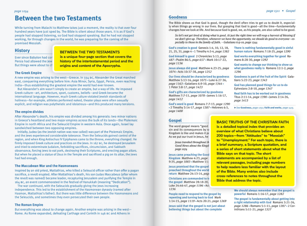 The Christian Basics Bible NLT, TuTone: Manser, Martin H., Beaumont ...