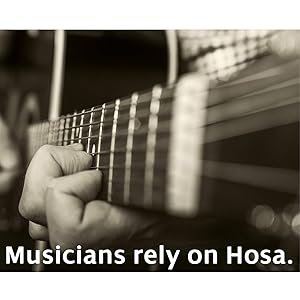 Amazon.com: Hosa CSS-801 Balanced Snake, 1/4 in TRS to Same, 1 m : Musical Instruments