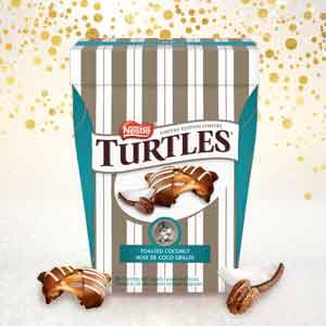 Nestlé Turtles Recette de chocolat classique : Amazon.ca: Épicerie et ...