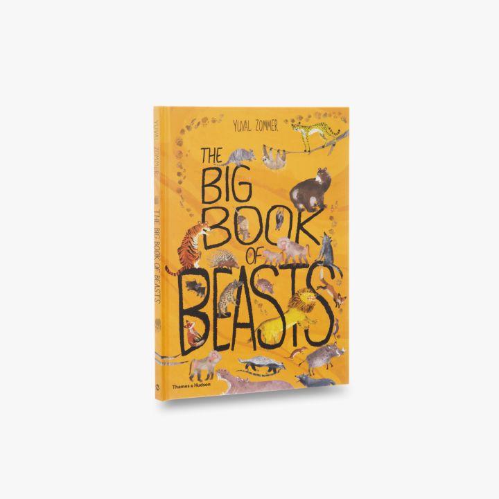 The Big Book of Bugs: Amazon.co.uk: Yuval Zommer, Barbara Taylor: Books