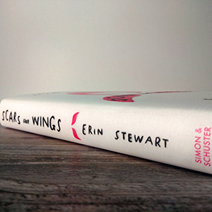 Scars Like Wings: Amazon.co.uk: Stewart, Erin: 9781471187018: Books