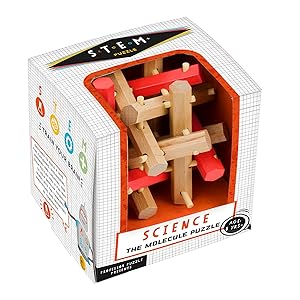 Amazon.com: Professor Puzzle STEM Puzzle Set - Set of 4 Educational ...