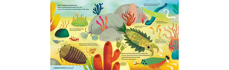 Out of the Blue: How Animals Evolved from Prehistoric Seas: Shreeve, Elizabeth, Preston-Gannon ...