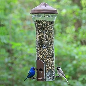 Amazon.com : Perky-Pet 5110PP Fortress Breakaway Squirrel Proof Bird ...