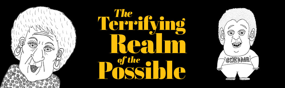 The Terrifying Realm of the Possible: Nearly True Stories: Gelman, Brett: 9780063315976: Amazon ...