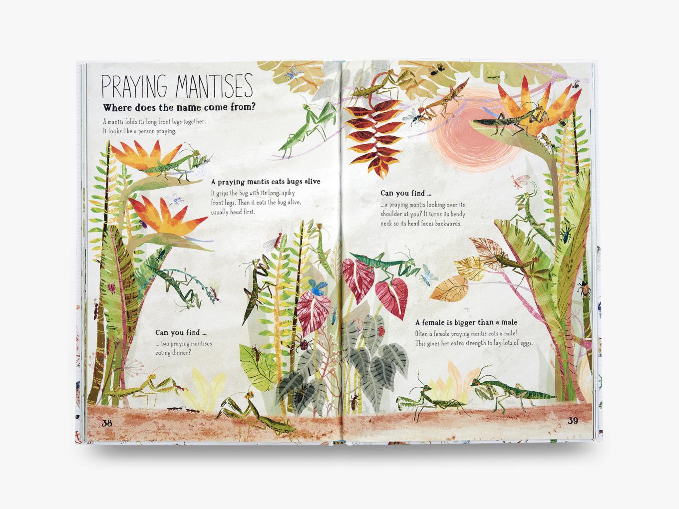 The The Big Book of Bugs: Zommer, Yuval: Amazon.com.au: Books