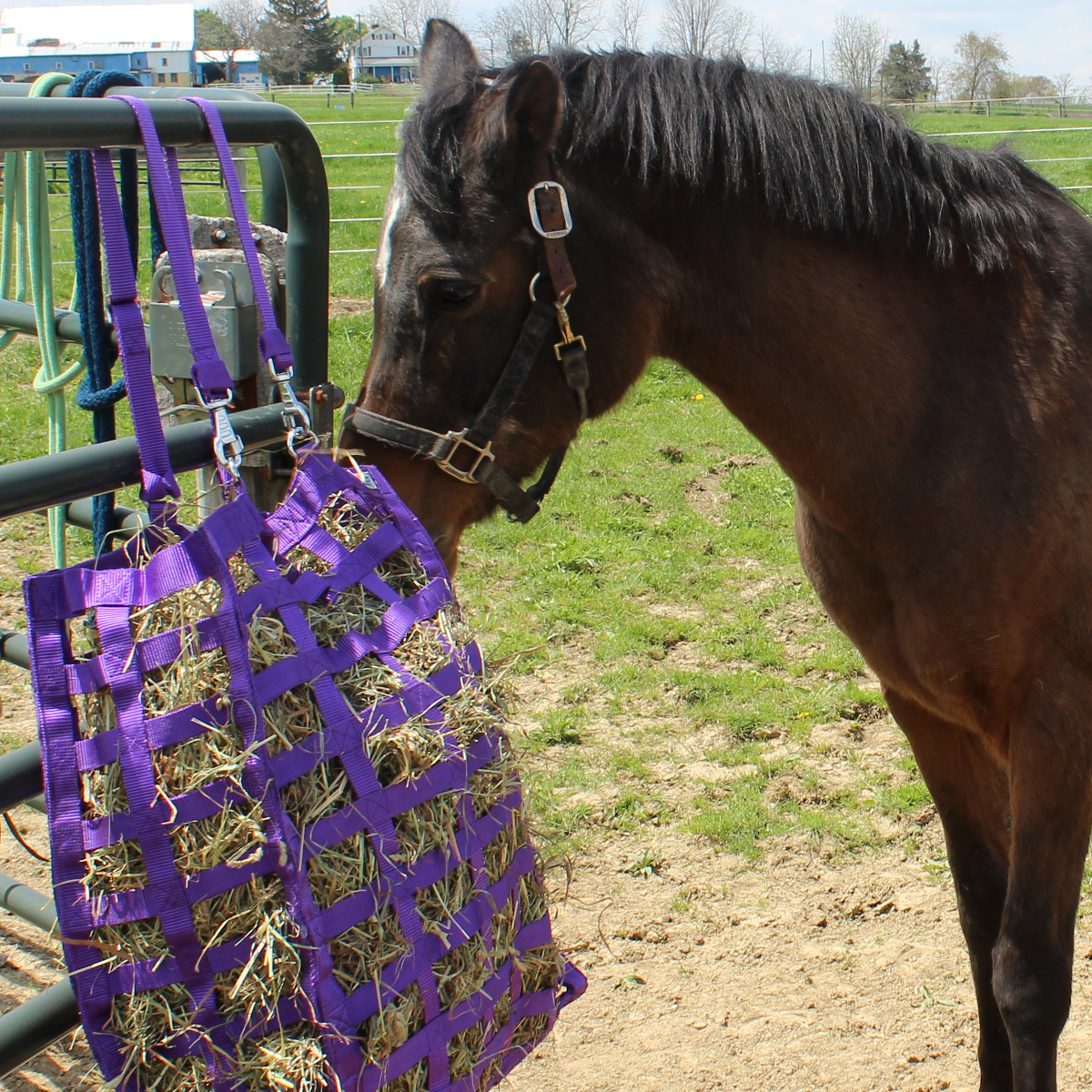 Derby Originals Super-Tough Patented Four Sided Slow Feed Horse Hay Bag ...