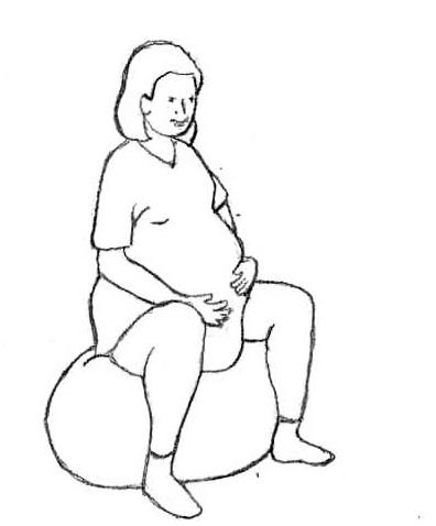 The Birth Partner, 4th Edition, Completely Revised and Updated: A ...