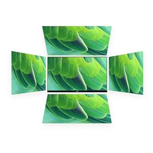 AOC Q32E2N - 31.5 Inch QHD Monitor, 75Hz, 4ms, IPS, Speakers ...