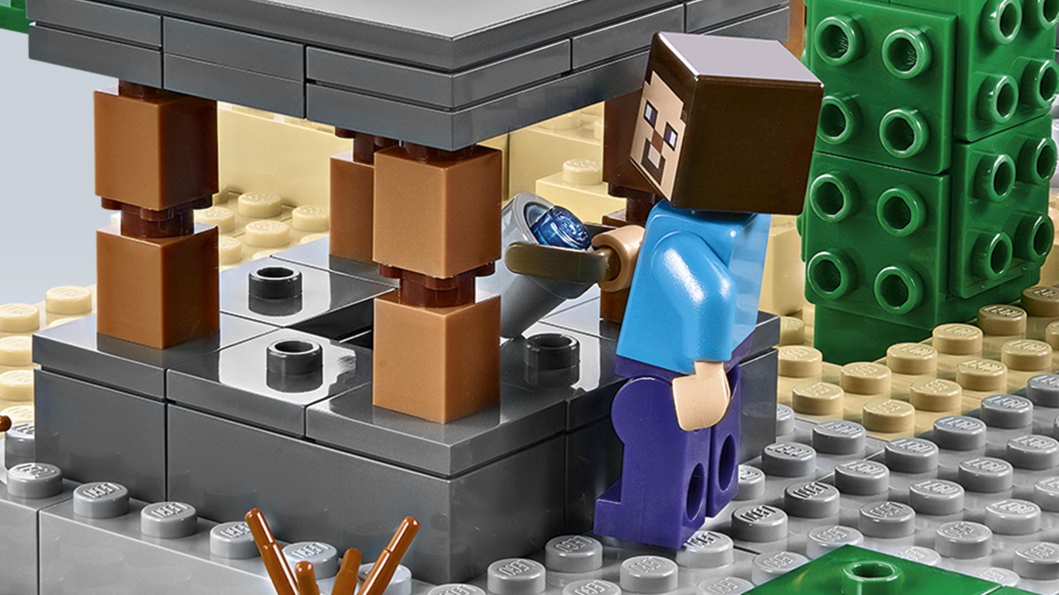 LEGO Minecraft The Village 21128, Storage & Accessories - Amazon Canada