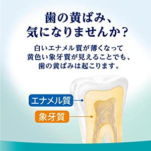 Amazon.co.jp: Shumitect PRO Enamel Multi-Care EX (Quasi-Drug) Toothpaste, Hypersensitivity Care ...