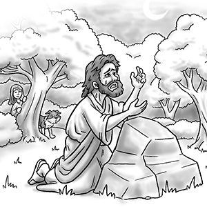 Amazon.com: The Secret of the Hidden Scrolls: The Final Scroll, Book 9 (The Secret of the Hidden ...