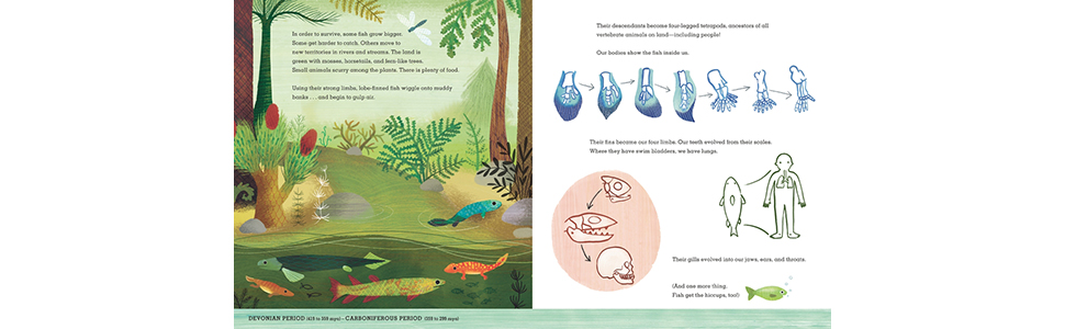 Out of the Blue: How Animals Evolved from Prehistoric Seas: Shreeve, Elizabeth, Preston-Gannon ...