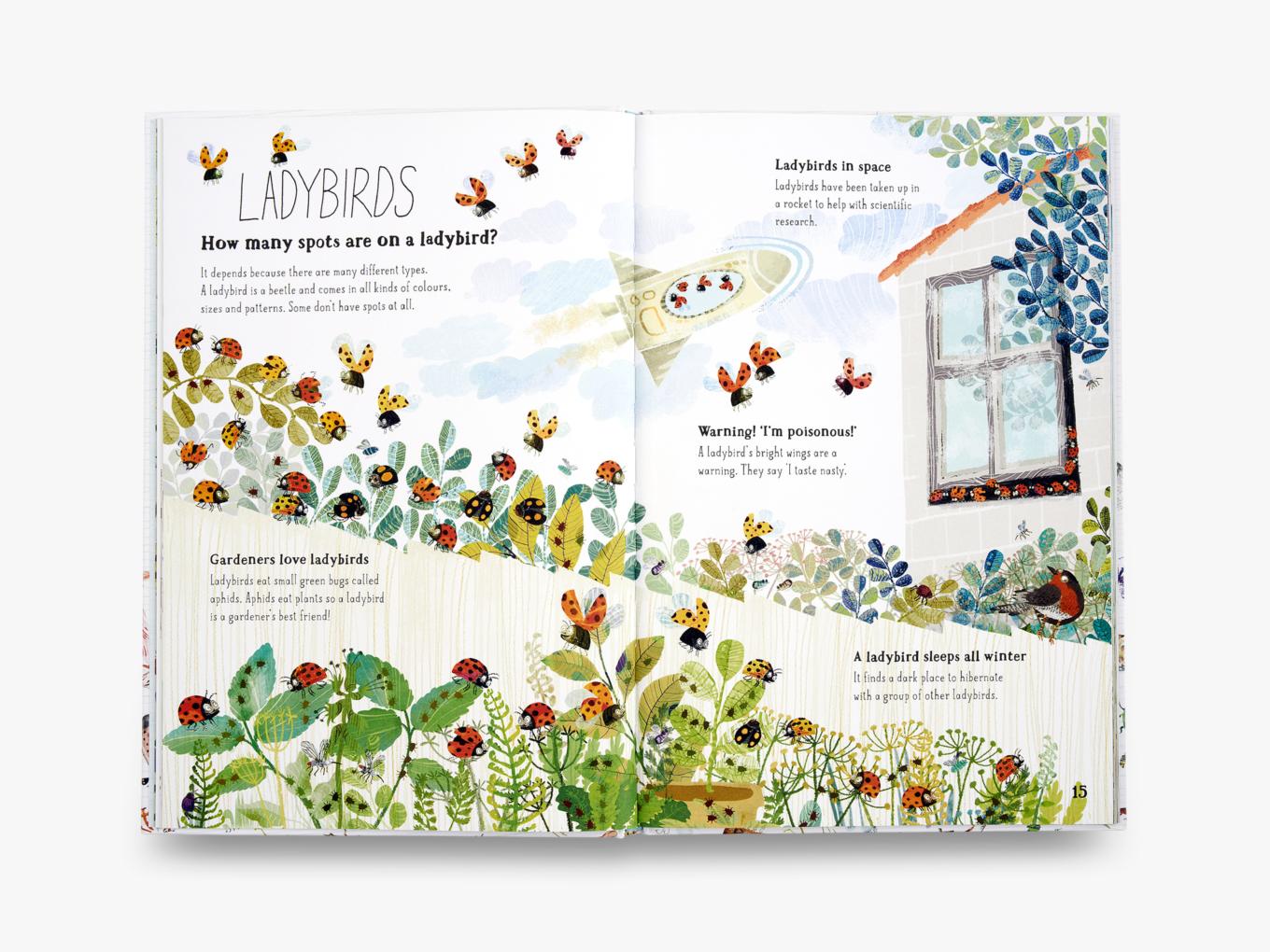 The Big Book of Bugs: Amazon.co.uk: Yuval Zommer, Barbara Taylor: Books