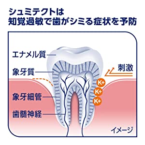 Amazon.co.jp: Shumitec Breath Fresh & Mouth Clean, Quasi Drug, Toothpaste, Hypersensitivity Care ...