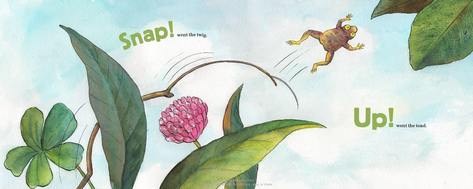 A Hippy-Hoppy Toad: Archer, Peggy, Wilsdorf, Anne: 9780399556760 ...