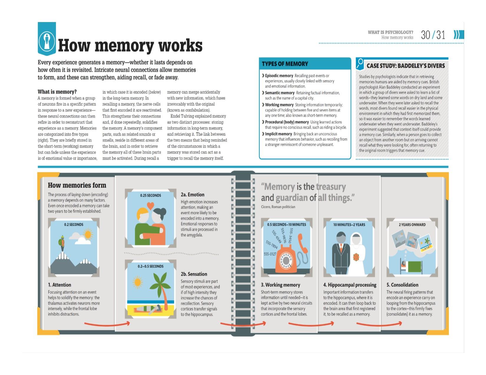 How Psychology Works: The Facts Visually Explained (How Things Work ...