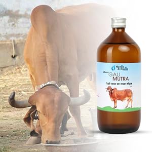 Buy Maven & Bloom Fresh A2 Cow Gaumutra Ark A2 Cow Urine 500 ml in Glass Bottle Online at Low ...