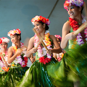 Amazon.com: Unomor 48PCS Hawaiian Leis Necklaces Luau Flowers for Luau ...