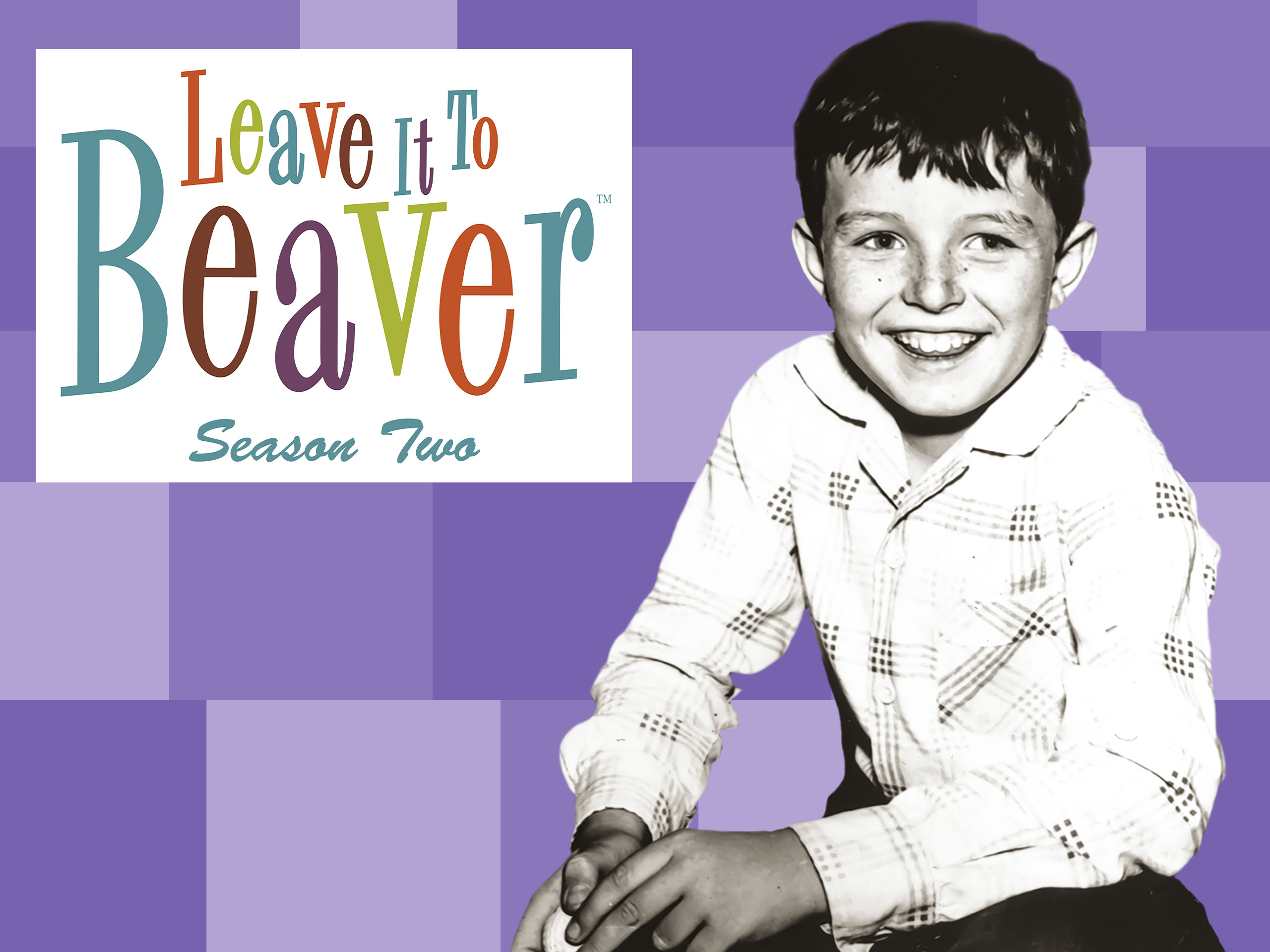 Prime Video: Leave It To Beaver