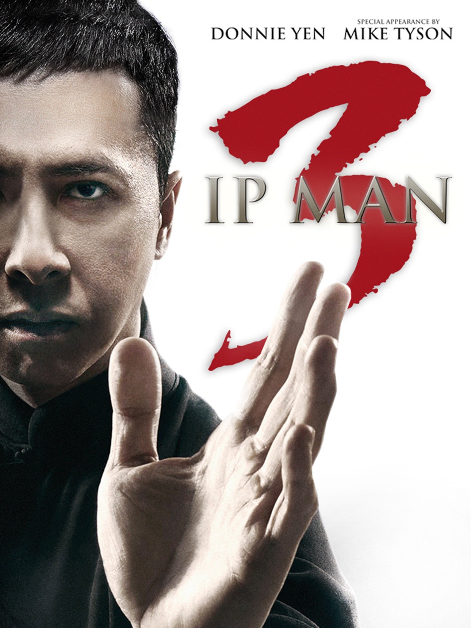 Prime Video: Ip Man 3