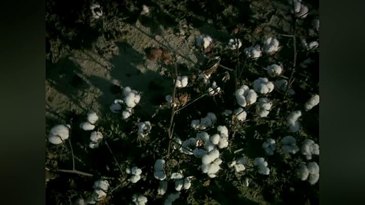 Prime Video: The Ultimate Guide to the Presidents Season 1