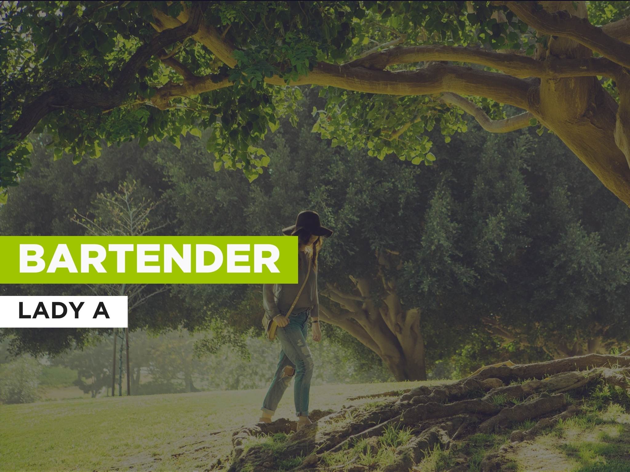 Prime Video: Bartender al estilo de Lady A