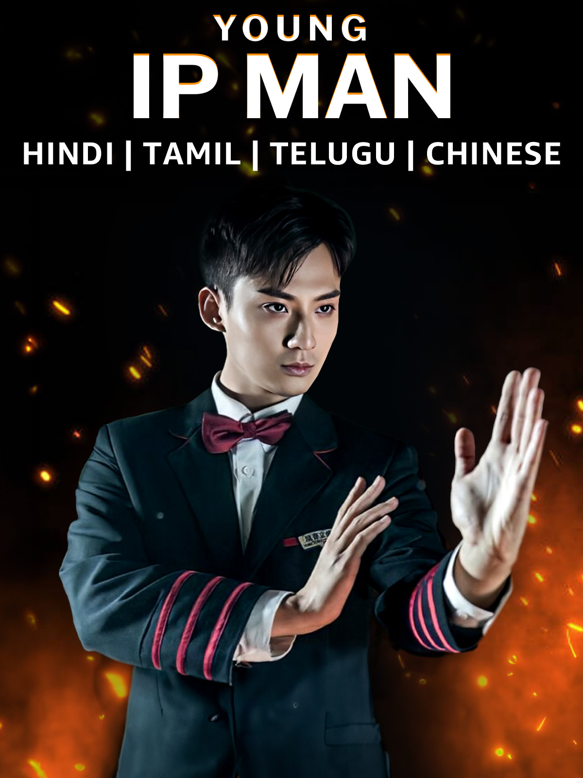 Prime Video: Young IP Man - Crisis Time