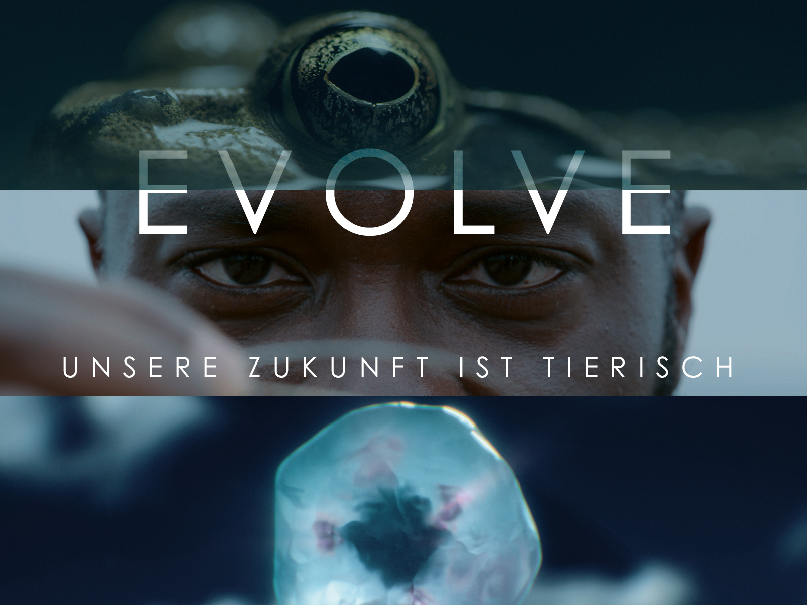 Prime Video: Evolve - Unsere Zukunft ist tierisch