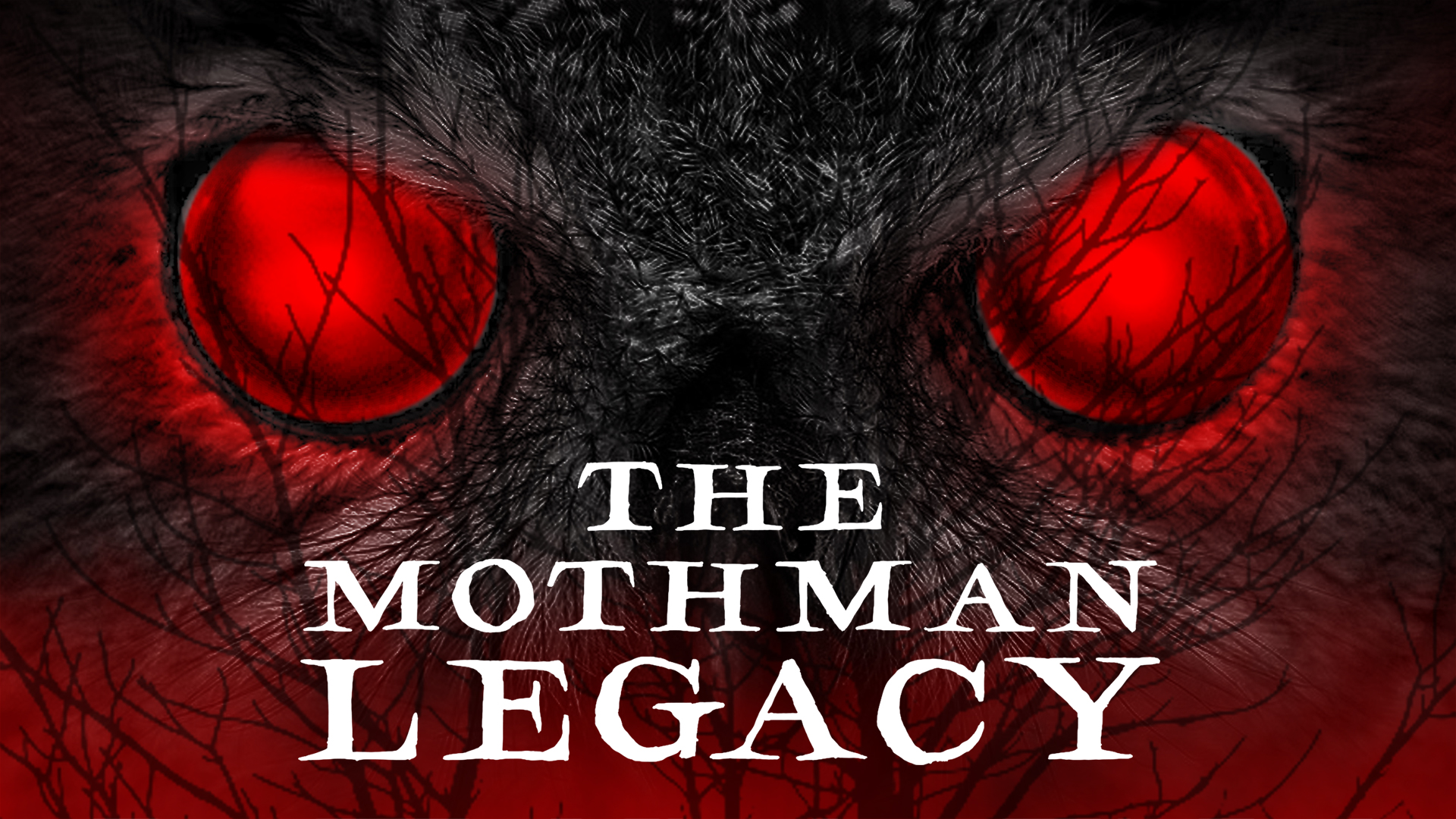 Prime Video: The Mothman Prophecies