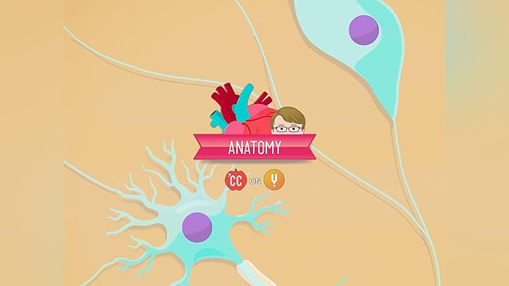 Prime Video: Crash Course: Anatomy & Physiology - Season 1