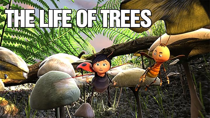 Amazon.com: Prime Video: Prime Video