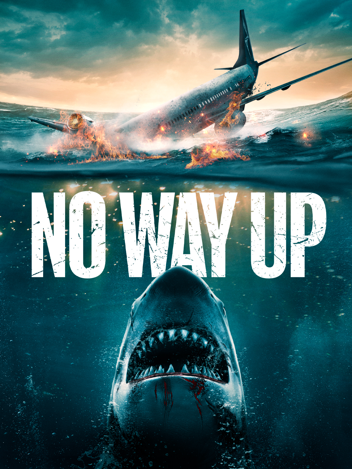Prime Video: No Way Up