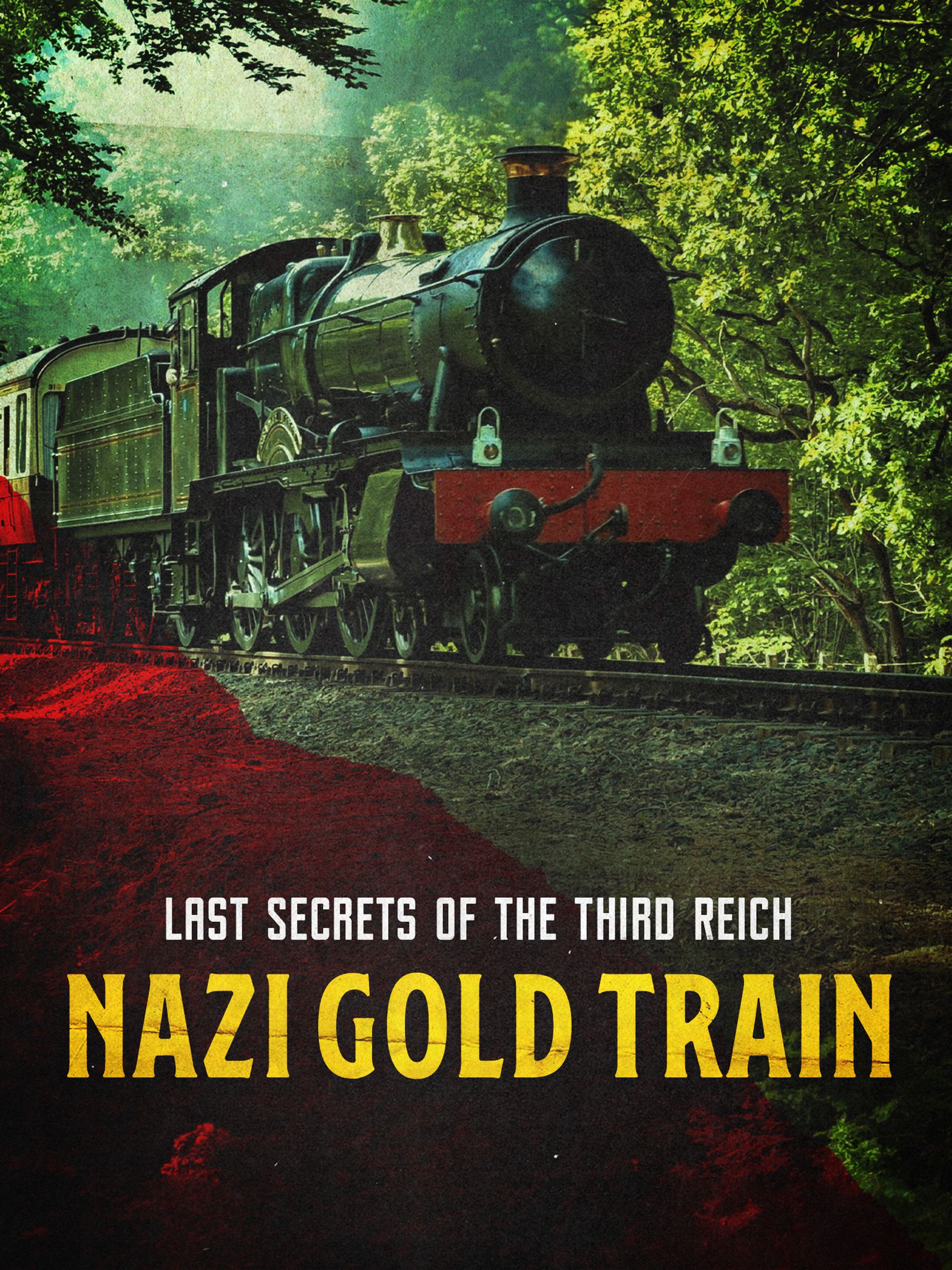 Prime Video: Last Secrets of the Third Reich: The Nazi Gold Train