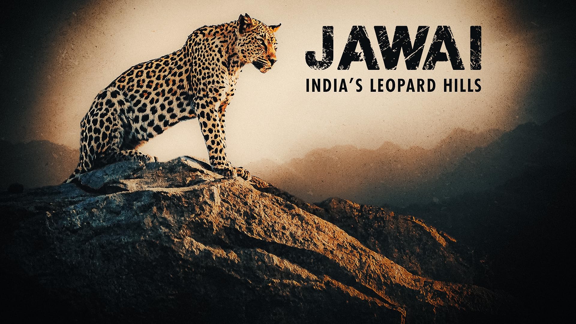 Prime Video: Nerd - Season 1