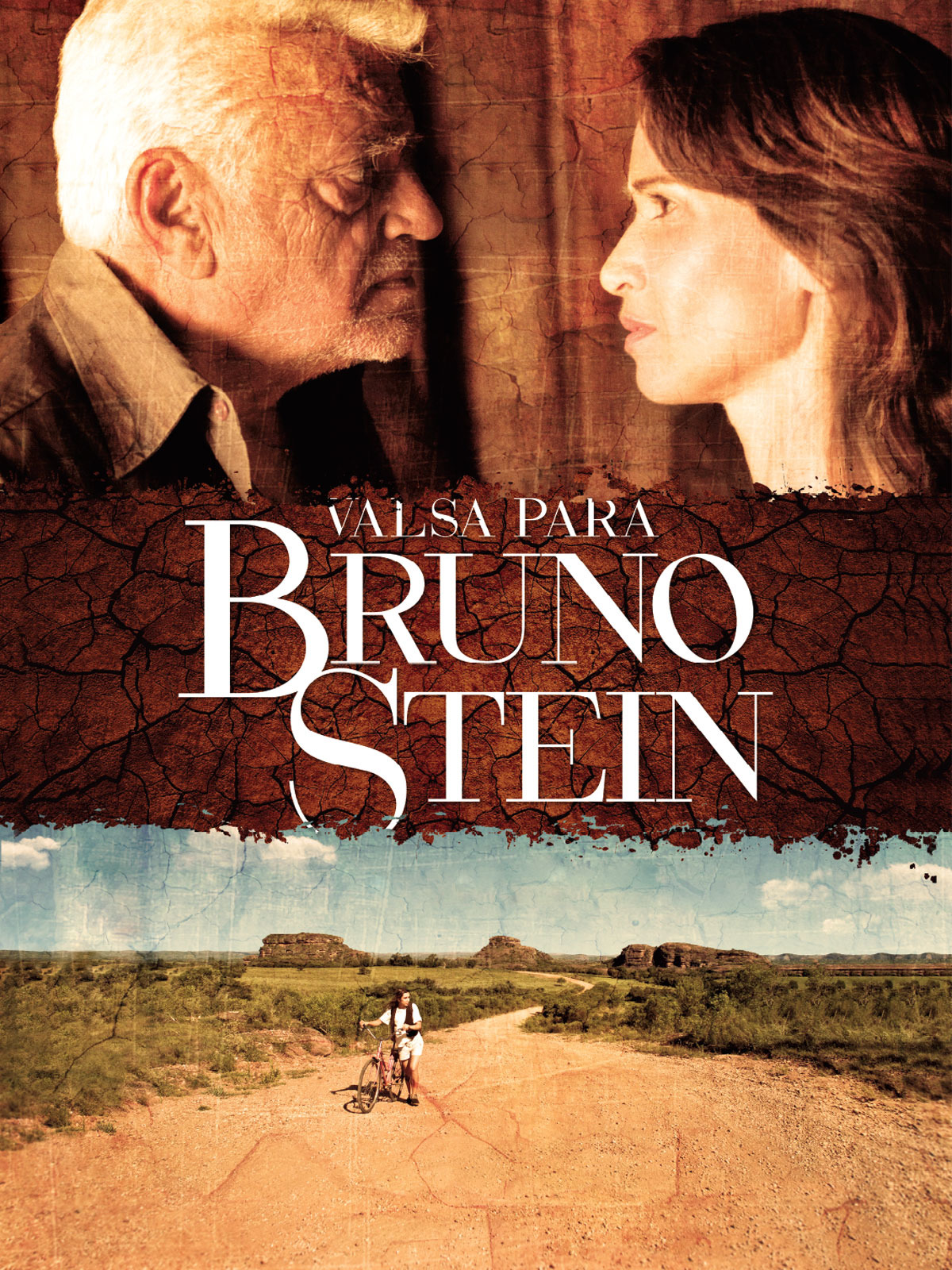 Prime Video: Valsa Para Bruno Stein