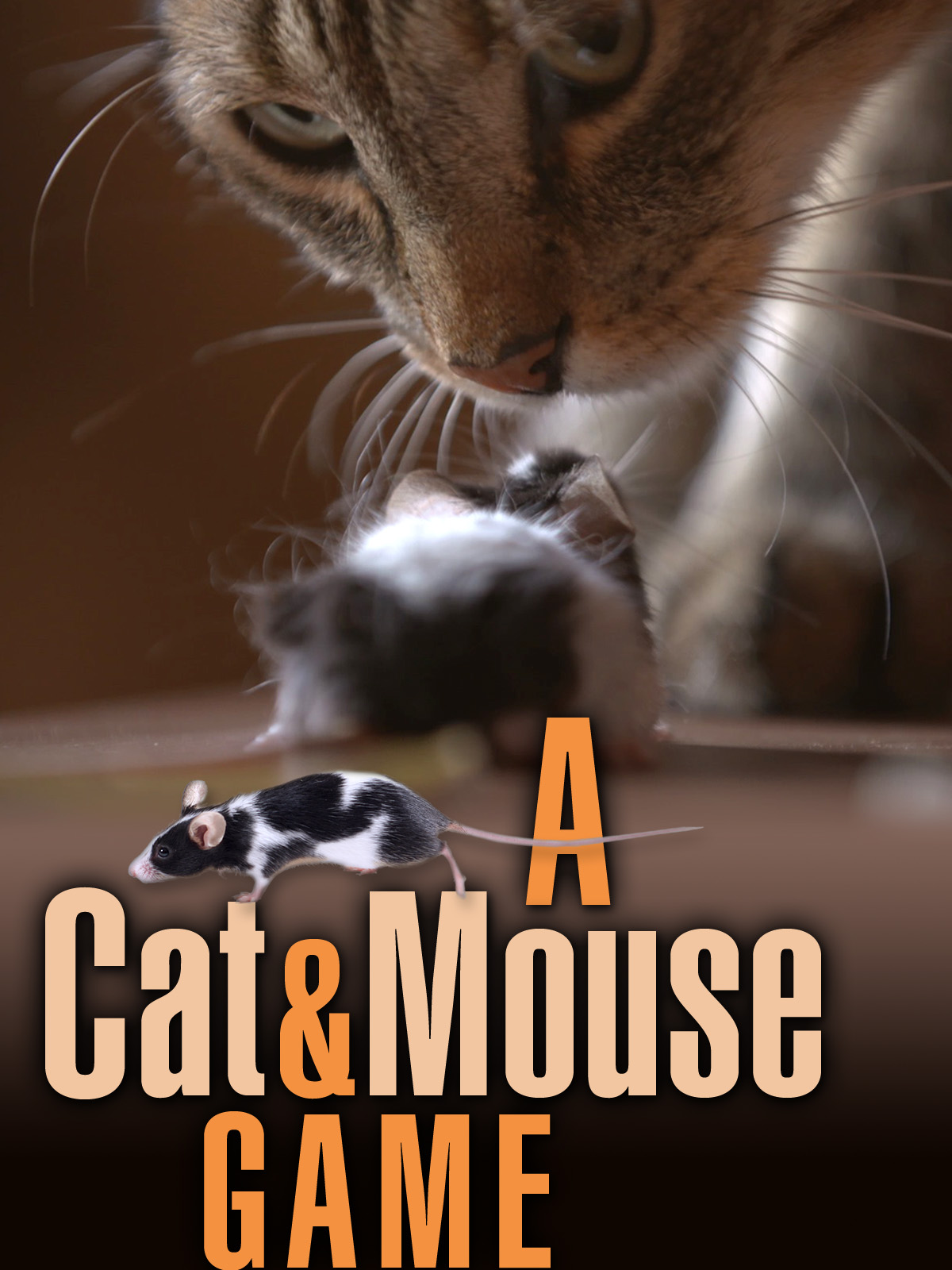 Prime Video: A Cat and Mouse Game
