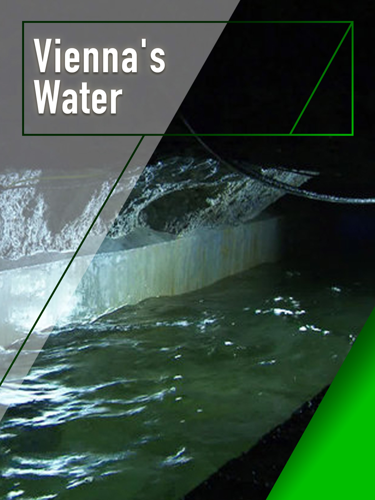 Prime Video: Vienna's Forests - Jewels of Green