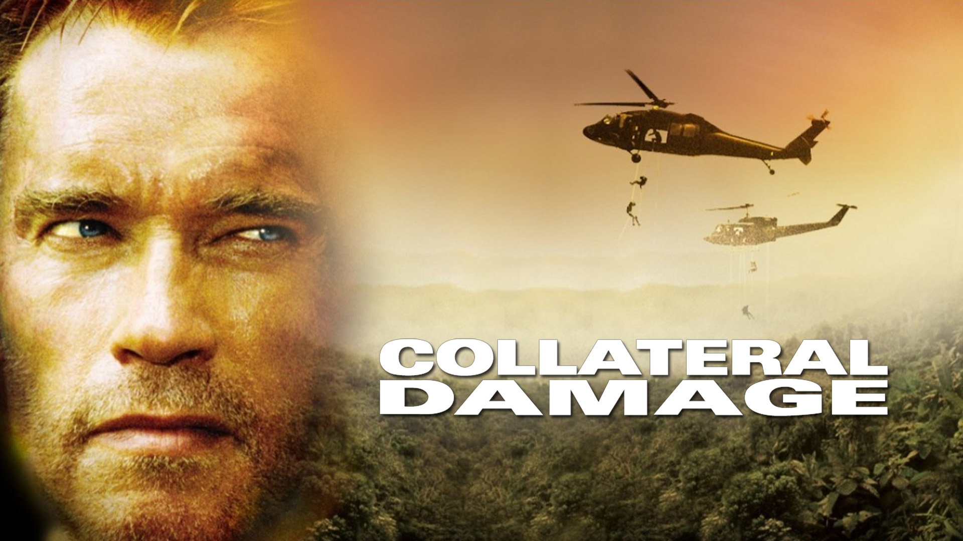 Collateral Damage 2002