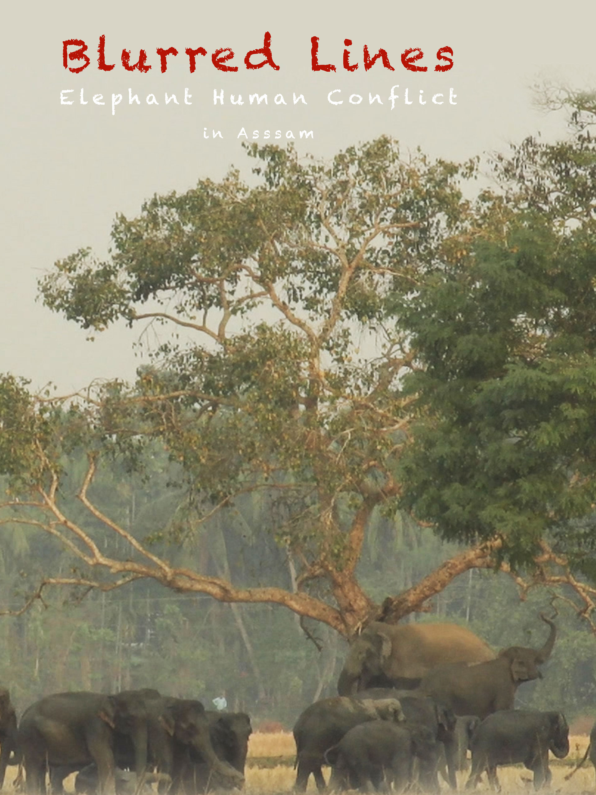 Prime Video: Blurred Lines