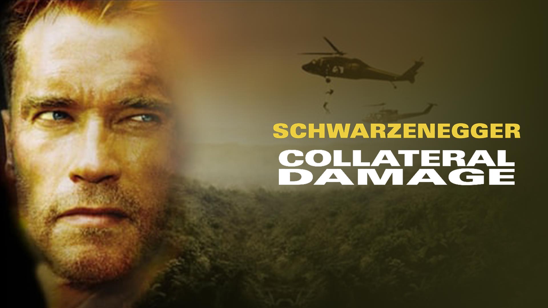 Collateral Damage Cast