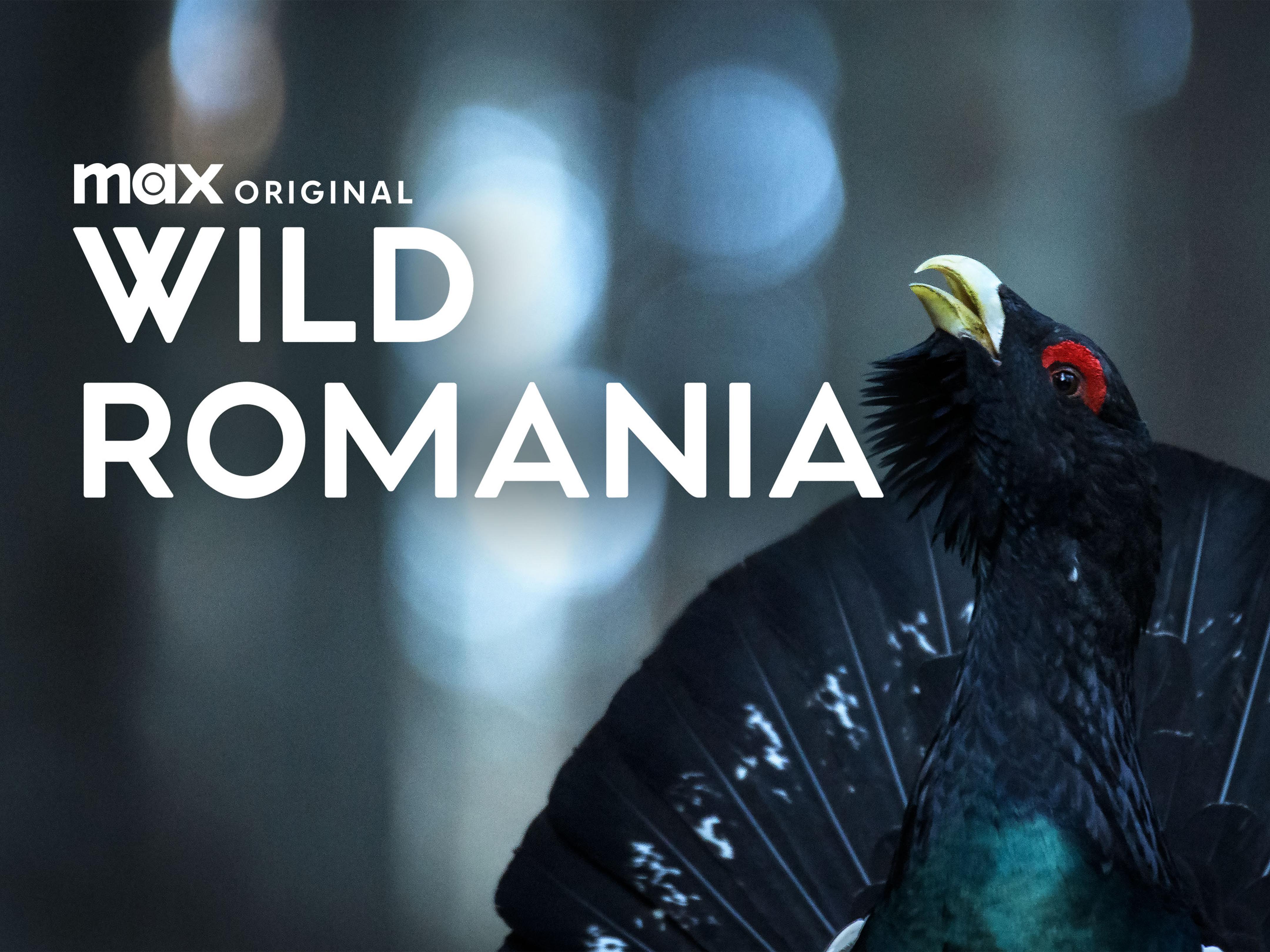 Prime Video: Wild Romania, Season 1