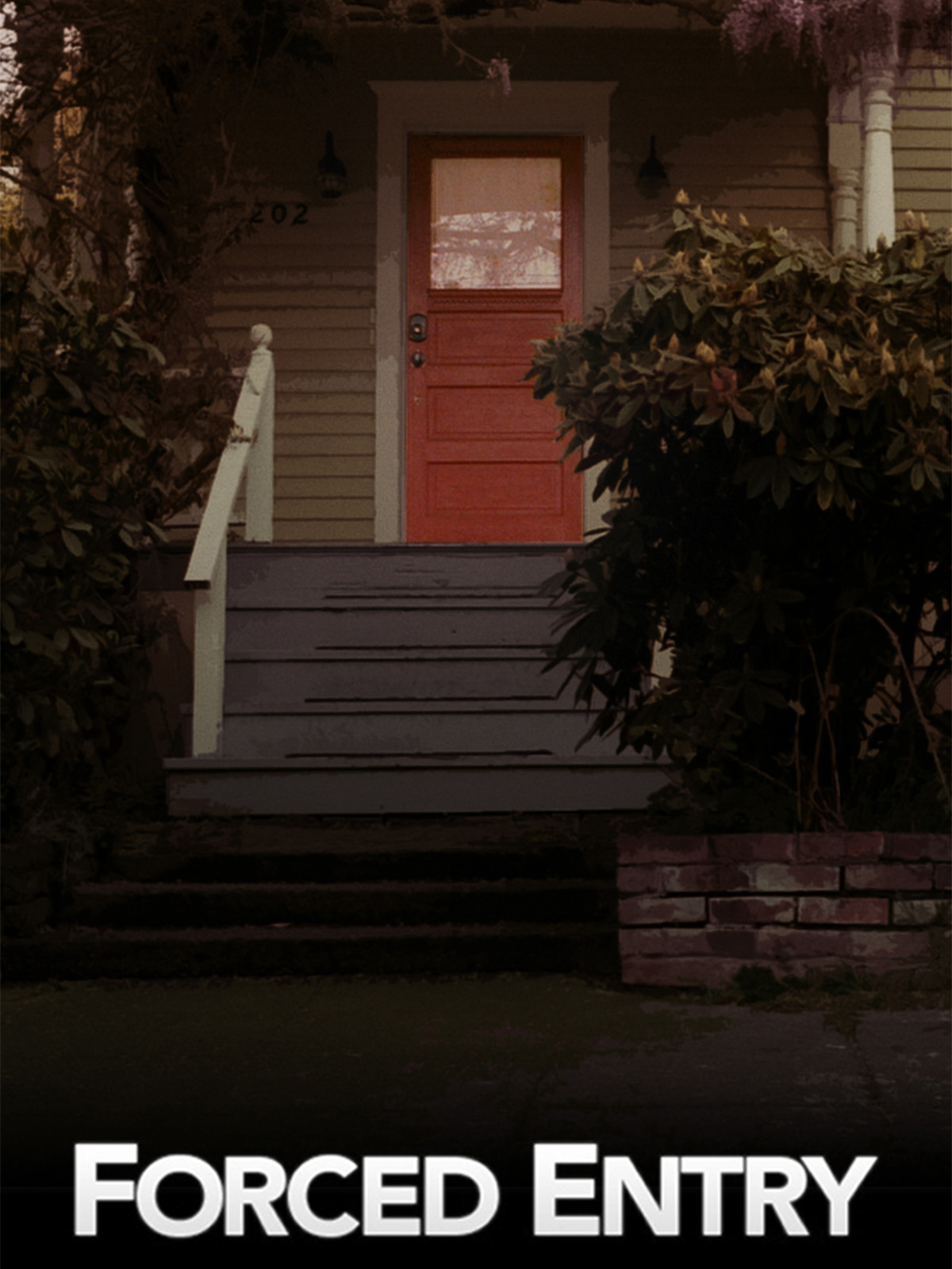 Prime Video: Forced Entry