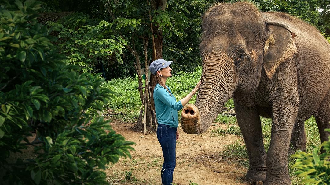 Prime Video: Elephant Hospital S2