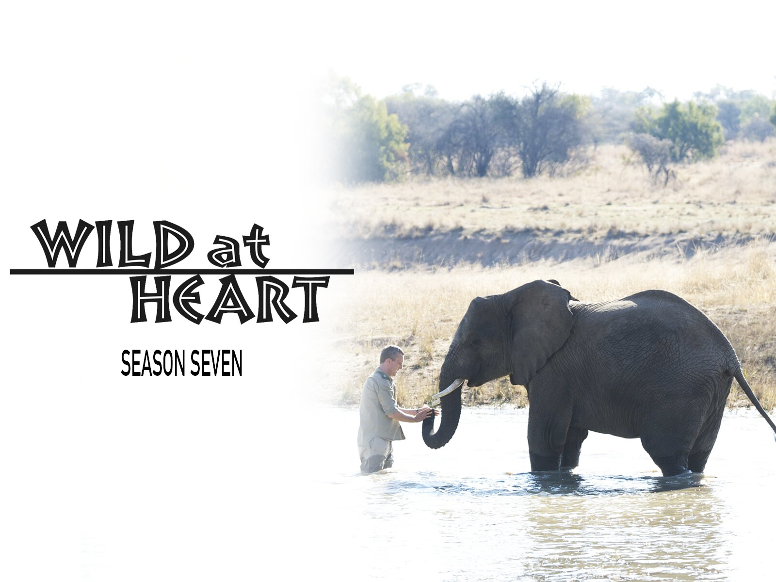 Prime Video: Wild at Heart