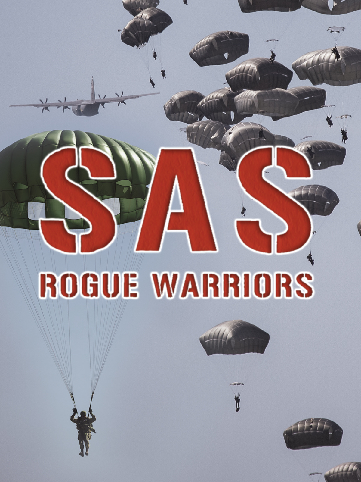 برايم فيديو: SAS Rogue Warriors