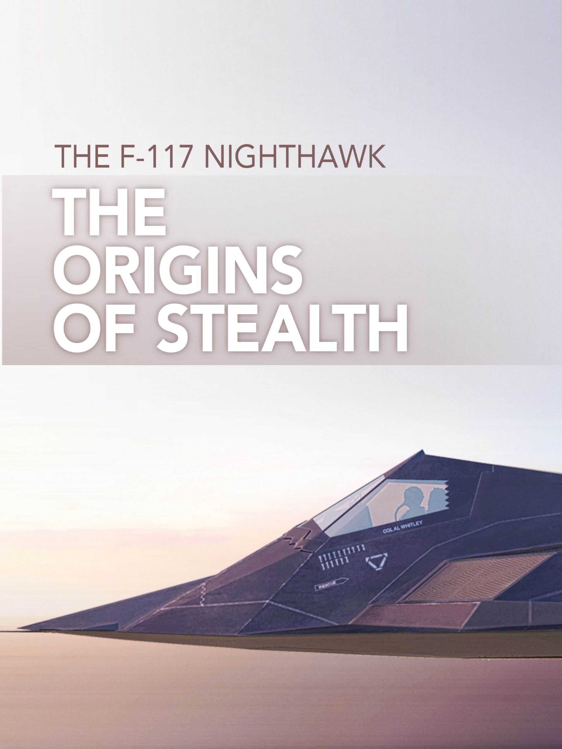 Prime Video: The Origins of Stealth: The F-117 Nighthawk